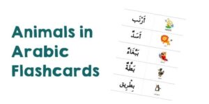 Animals in Arabic Flashcards - IlmBank
